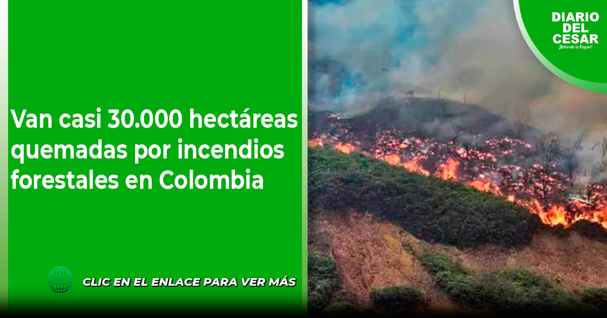 Van casi 30.000 hectáreas quemadas por incendios forestales en Colombia